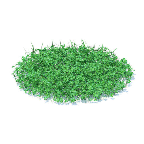 Grass with Clover 3D Model 3D model | CGTrader