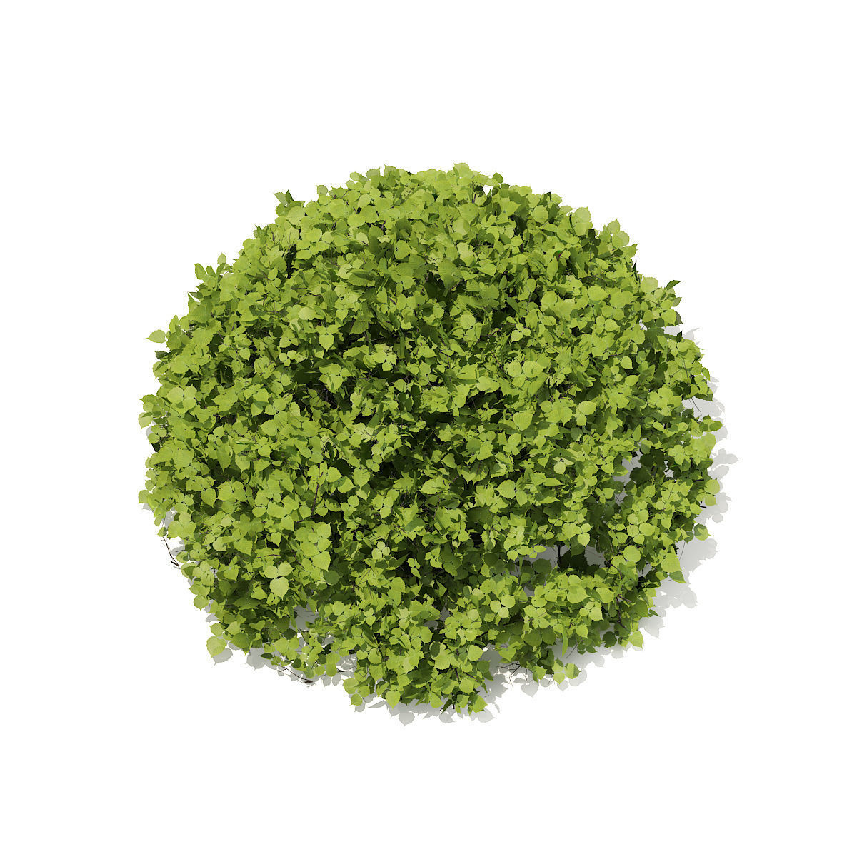 Half-Sphere Hedge 3D model | CGTrader