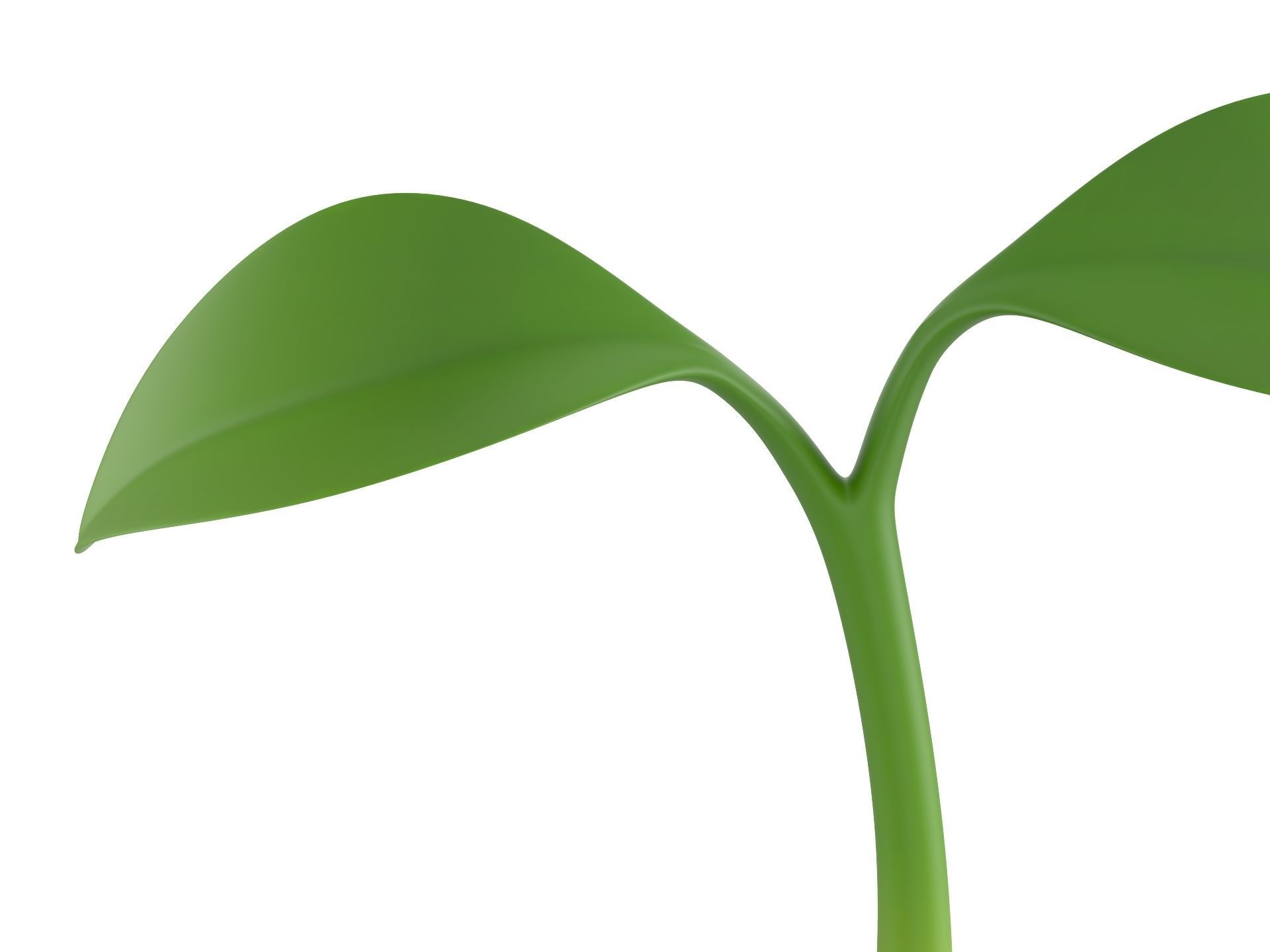 3D model Plant Sprout VR / AR / low-poly | CGTrader