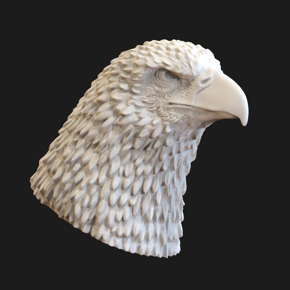 Eagle head 3D model 3D printable | CGTrader