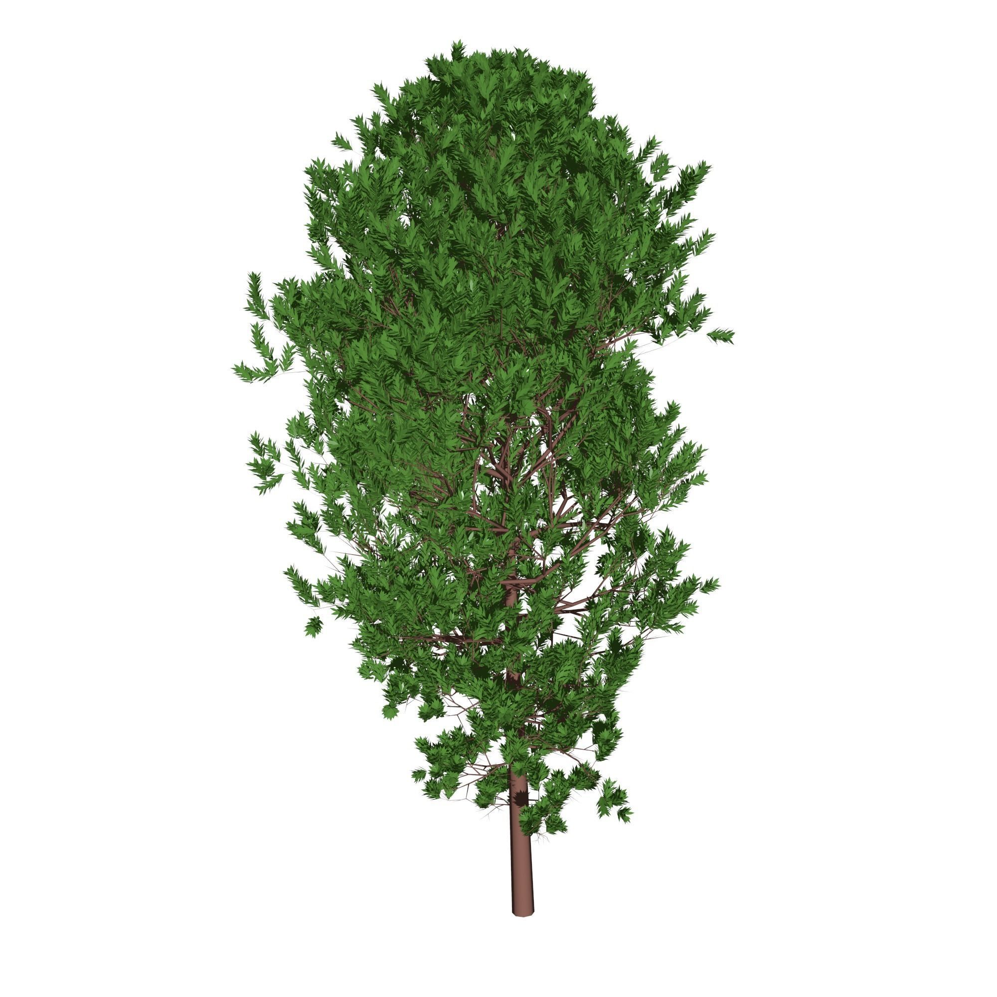 Tree 2 wild and unkempt 3D model | CGTrader