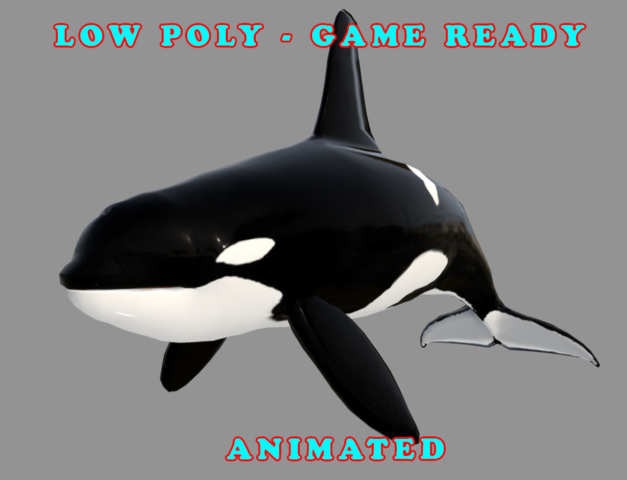 animated VR / AR ready ORCA 3D MODEL - ANIMATED | CGTrader