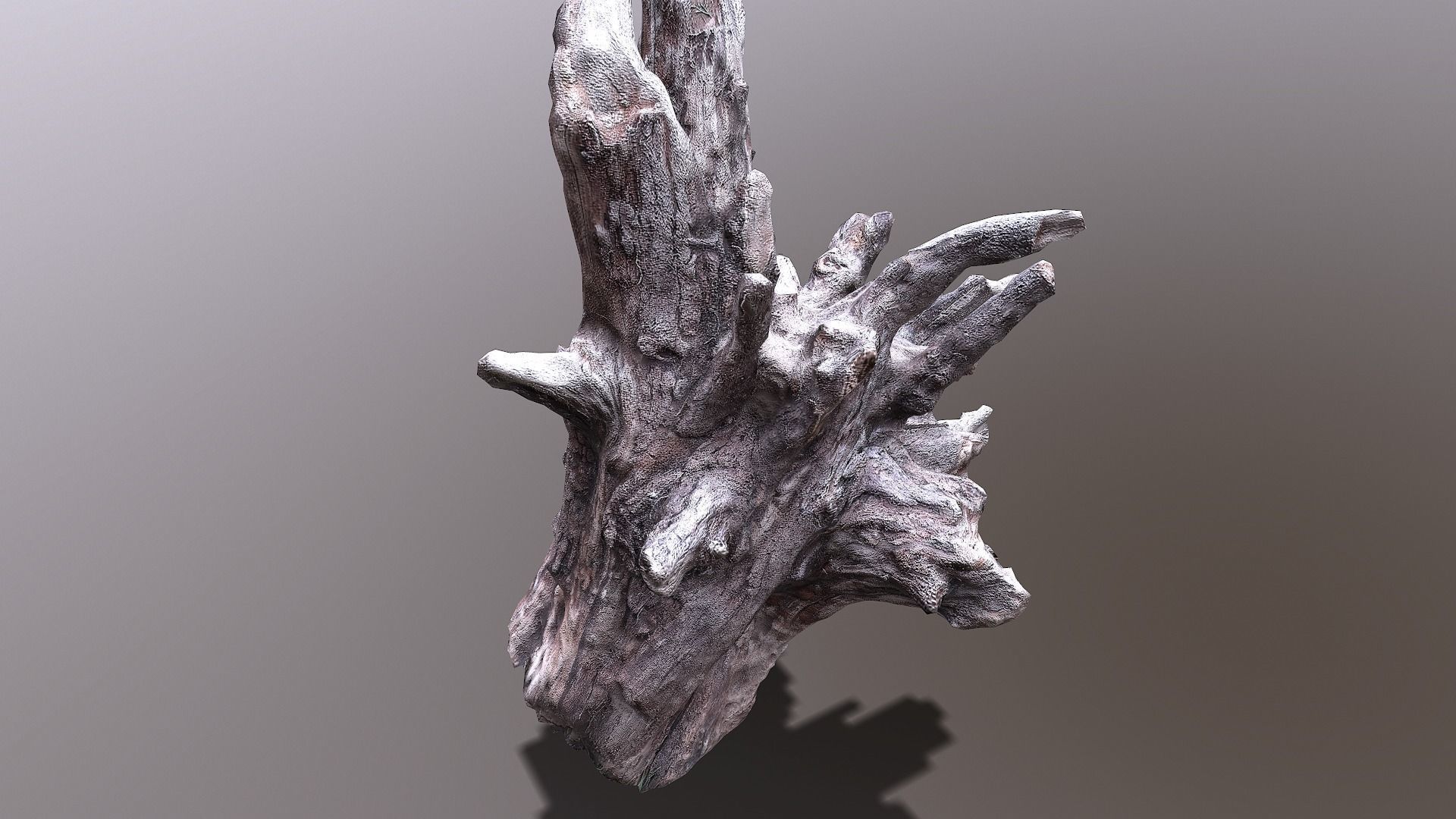 3D model Bark tree part VR / AR / low-poly | CGTrader