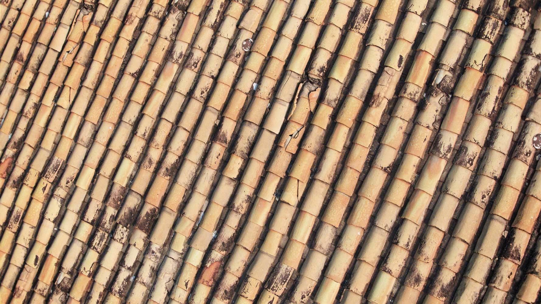 Friendly Shade Premiere Bundle Educational Up To 16k Texture | CGTrader