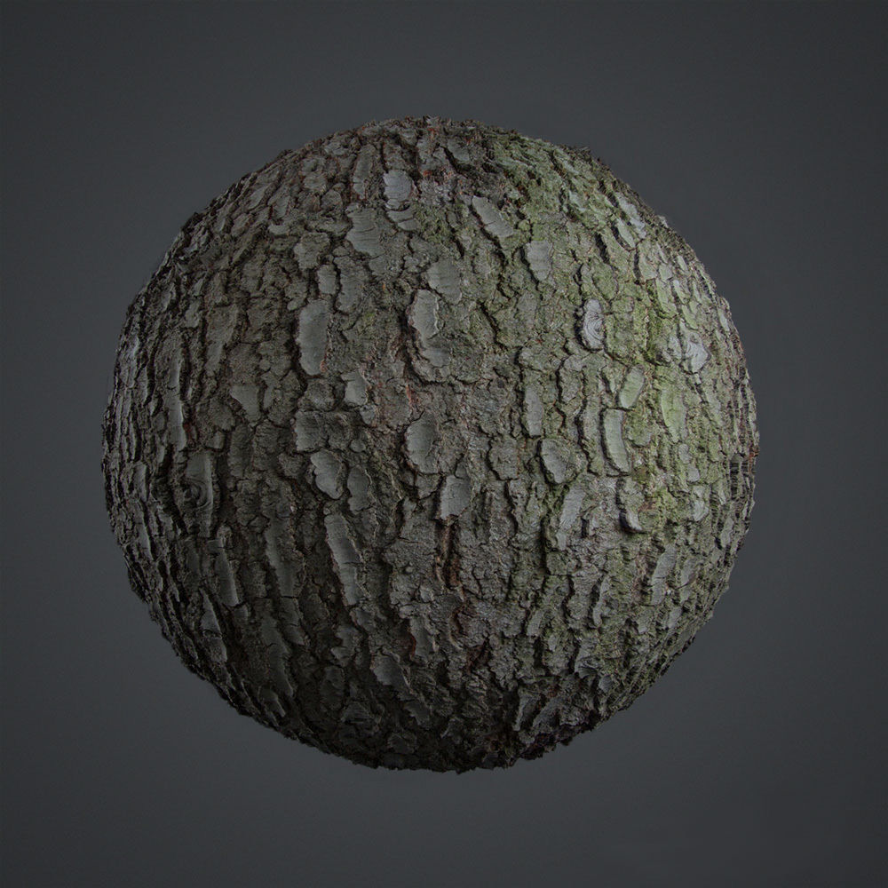 Friendly Shade Premiere Bundle Educational Up To 16k Texture | CGTrader