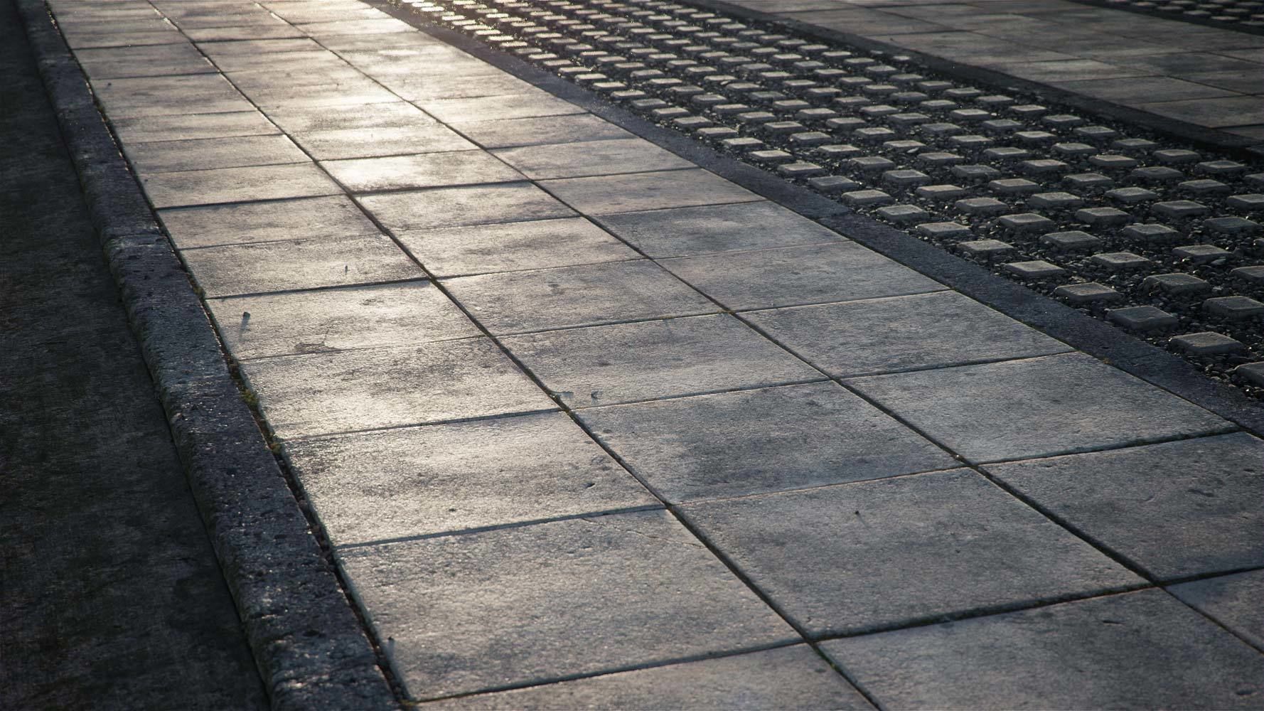 Friendly Shade Premiere Bundle Educational Up To 16k Texture | CGTrader