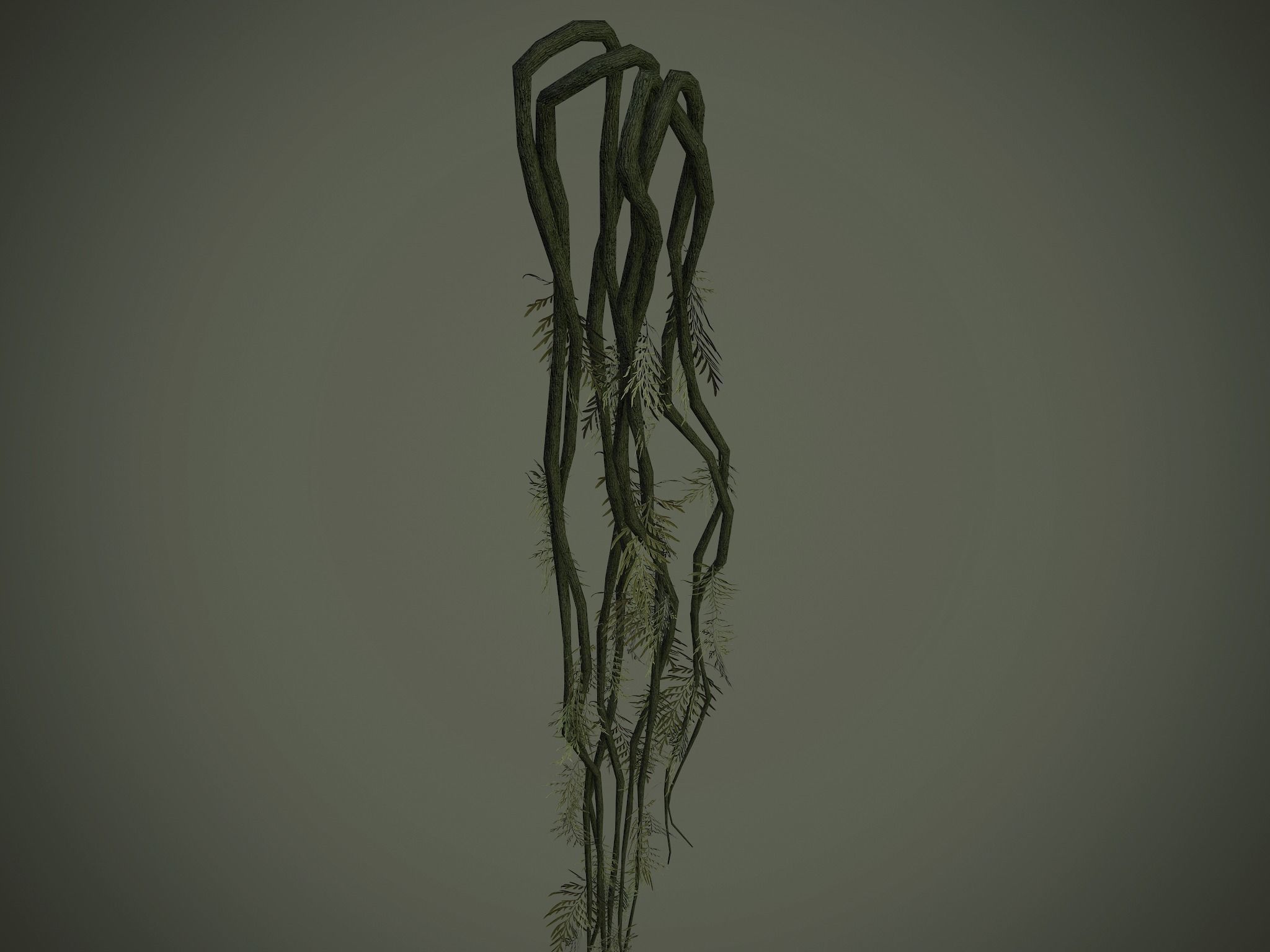 3D model Nature Assets - Forest Vines Pack VR / AR / low-poly | CGTrader