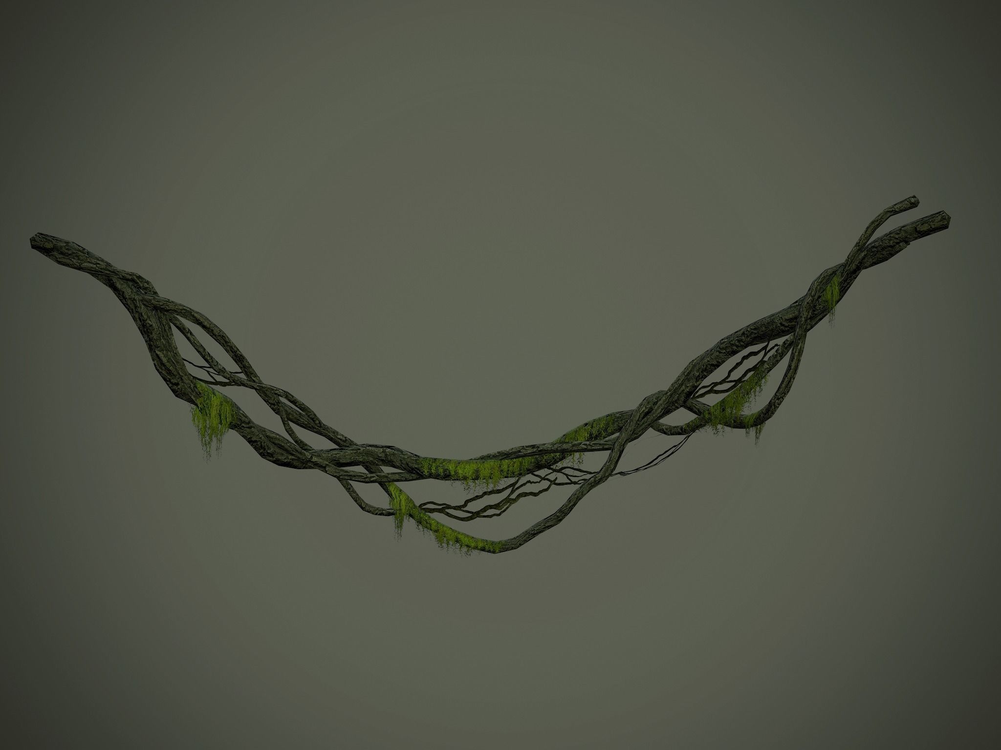 3D model Nature Assets - Forest Vines Pack VR / AR / low-poly | CGTrader