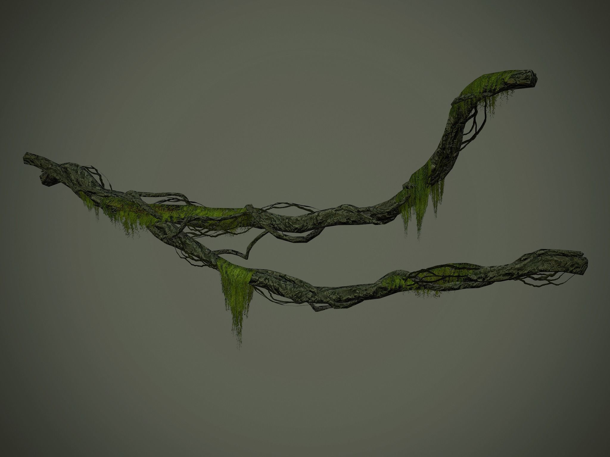 3D model Nature Assets - Forest Vines Pack VR / AR / low-poly | CGTrader