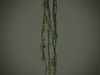3D model Nature Assets - Forest Vines Pack VR / AR / low-poly | CGTrader