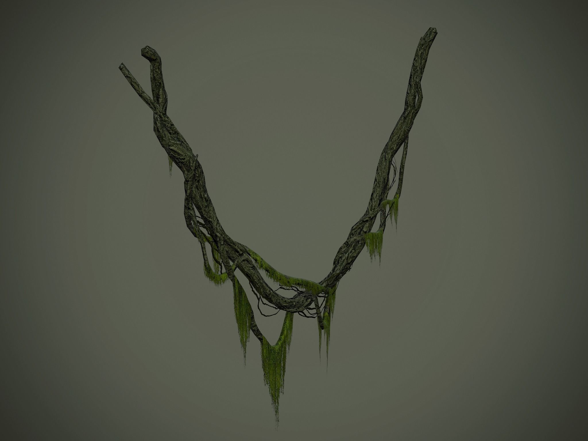 3D model Nature Assets - Forest Vines Pack VR / AR / low-poly | CGTrader