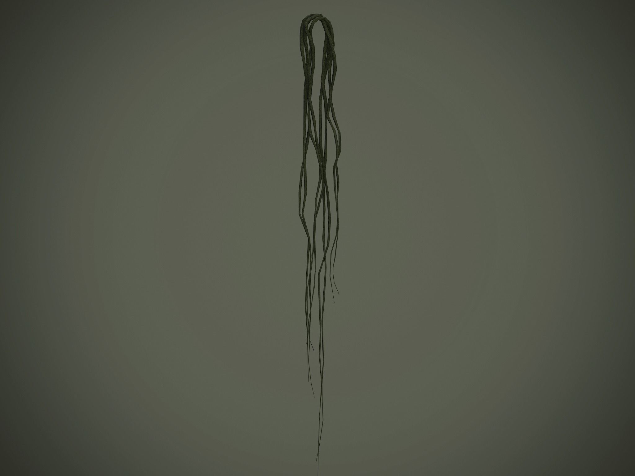 3D model Nature Assets - Forest Vines Pack VR / AR / low-poly | CGTrader