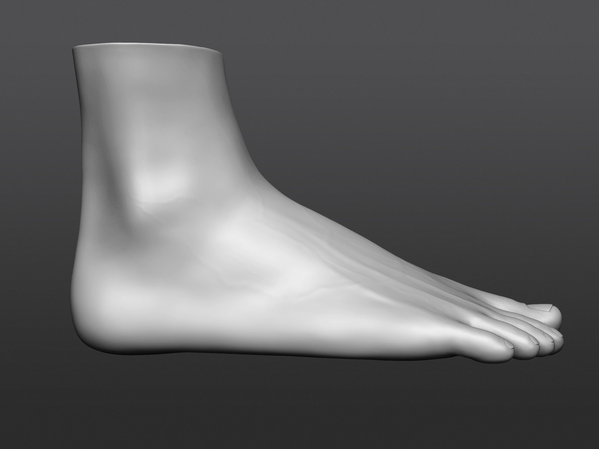 Human 3D foot model 3D model | CGTrader