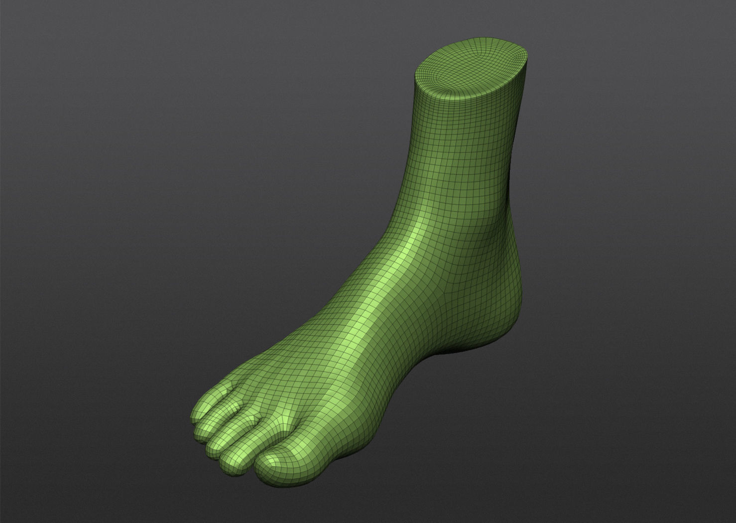 Human 3D foot model 3D model | CGTrader
