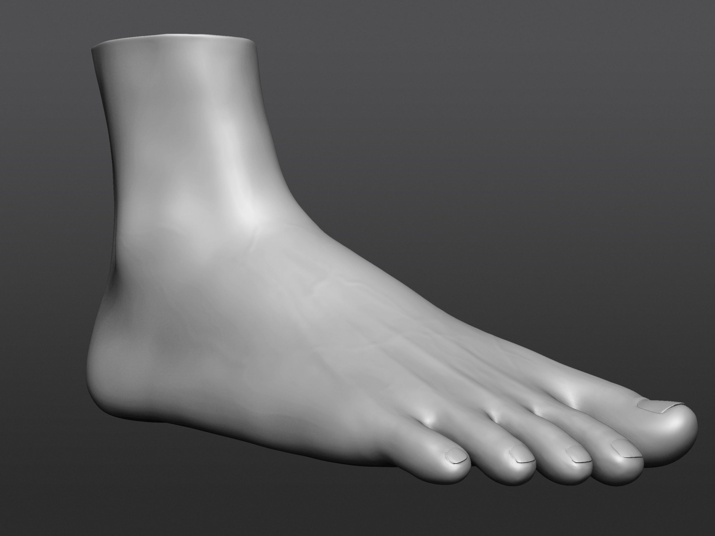 Human 3D foot model 3D model | CGTrader