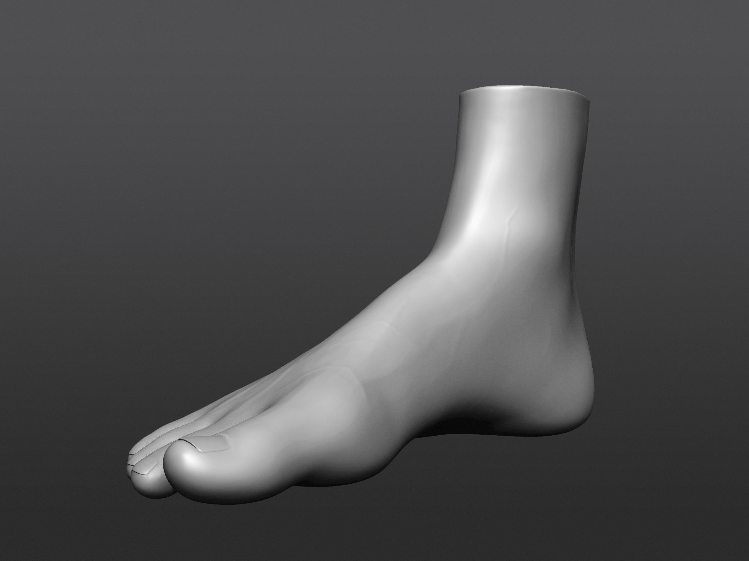 Human 3D foot model 3D model | CGTrader