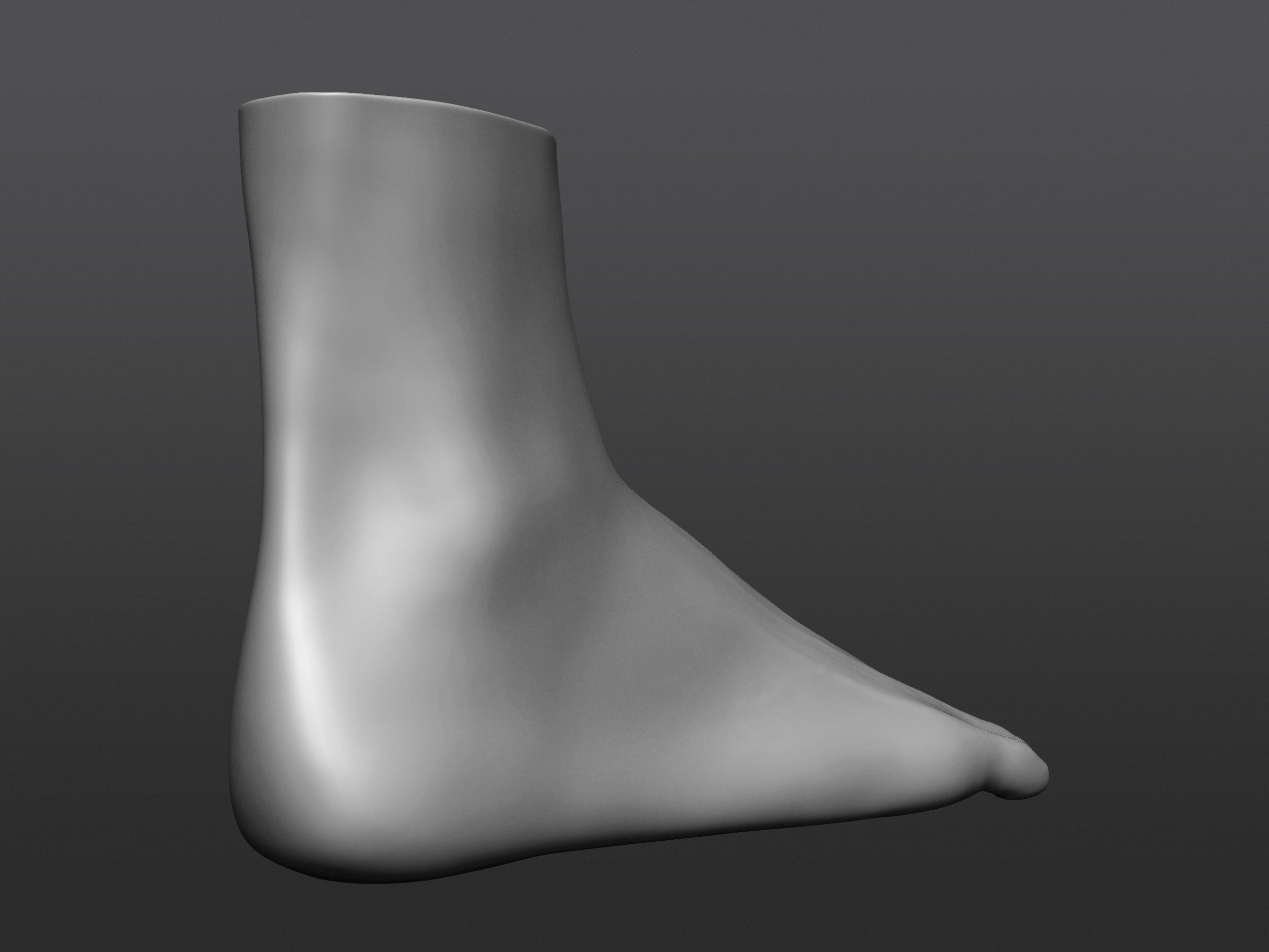 Human 3D foot model 3D model | CGTrader