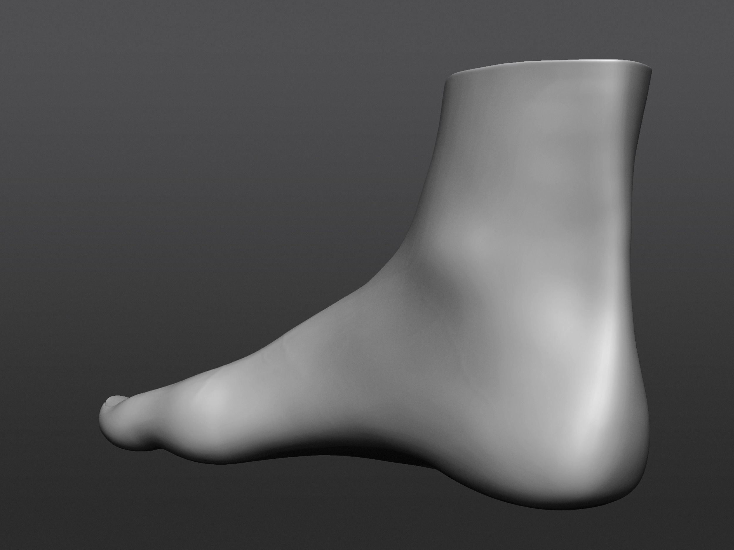 Human 3D foot model 3D model | CGTrader