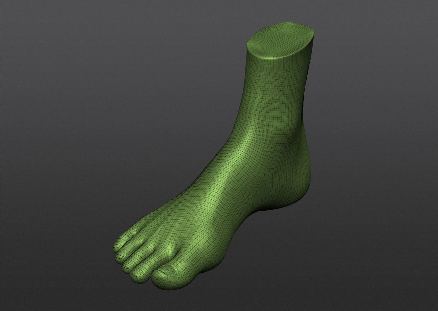 Human 3D foot model 3D model | CGTrader