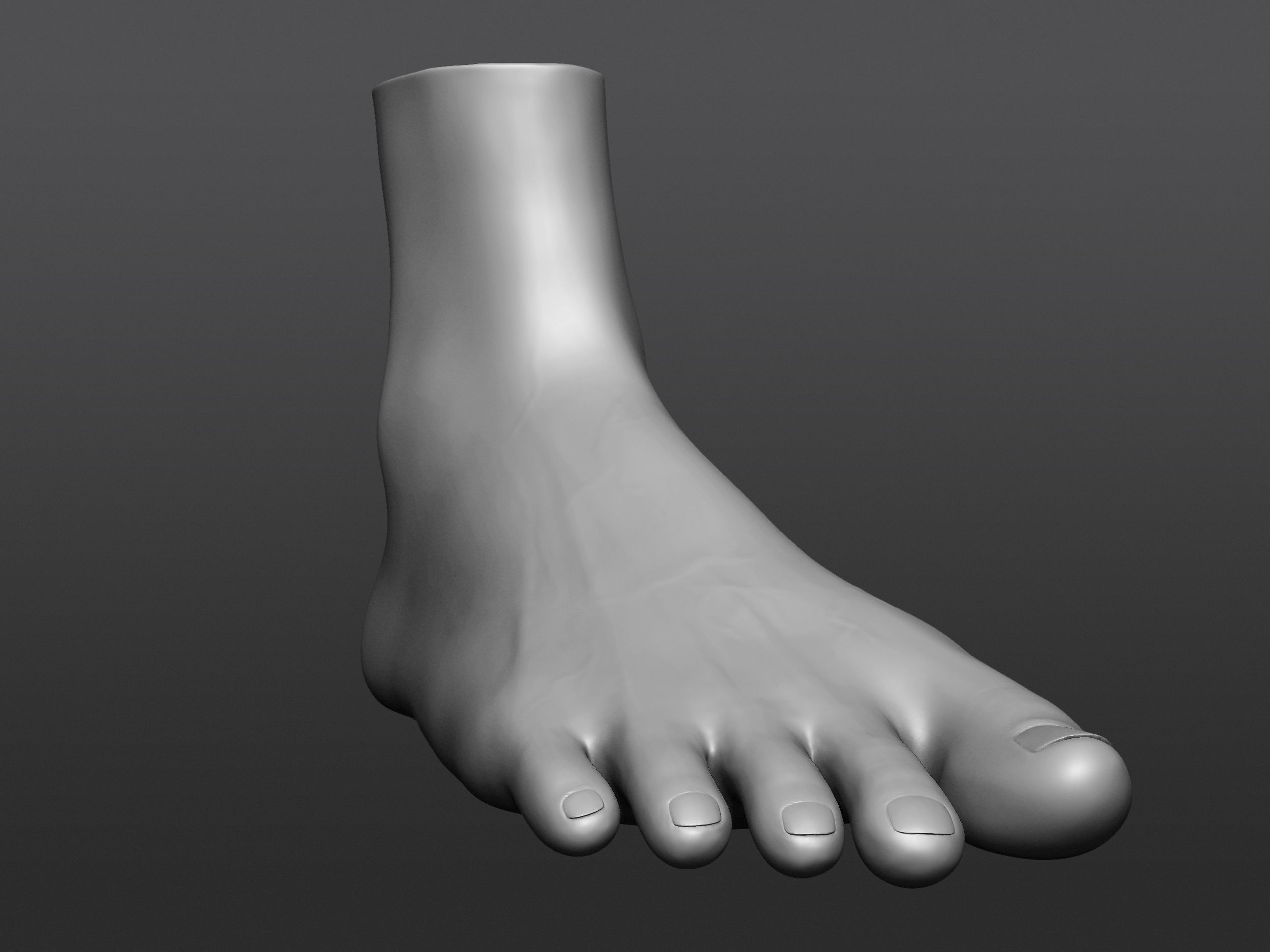 Human 3D foot model 3D model | CGTrader