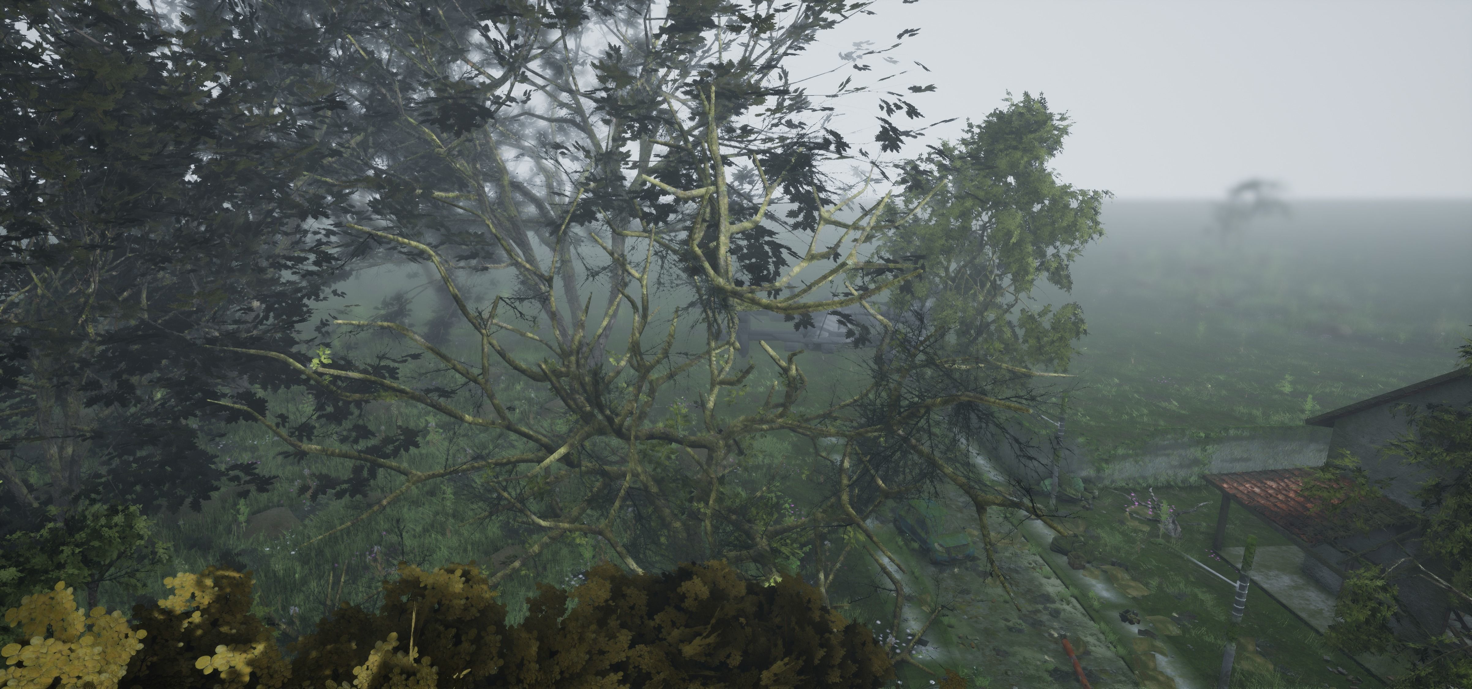 Tree Die Old free VR / AR / low-poly 3D model | CGTrader