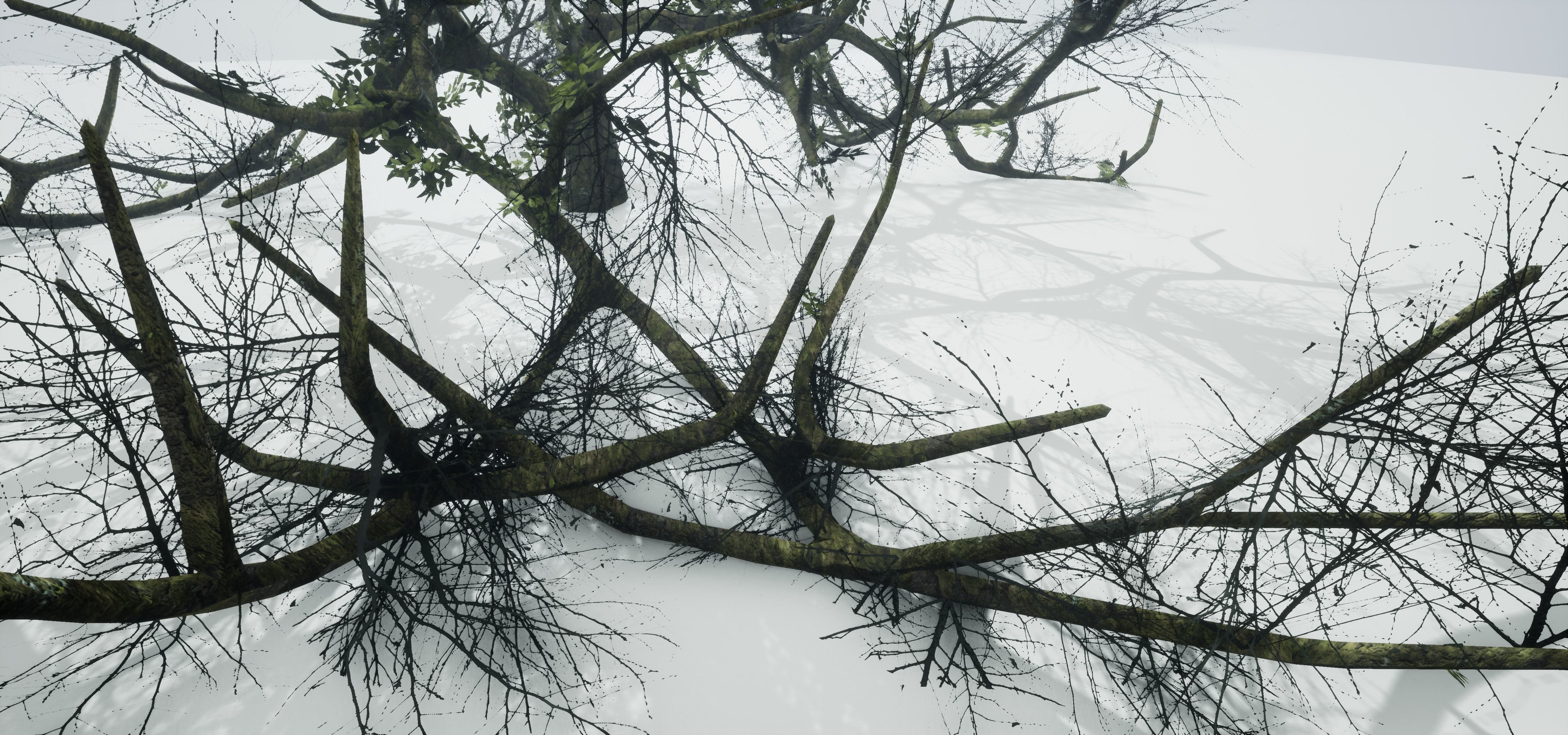 Tree Die Old free VR / AR / low-poly 3D model | CGTrader