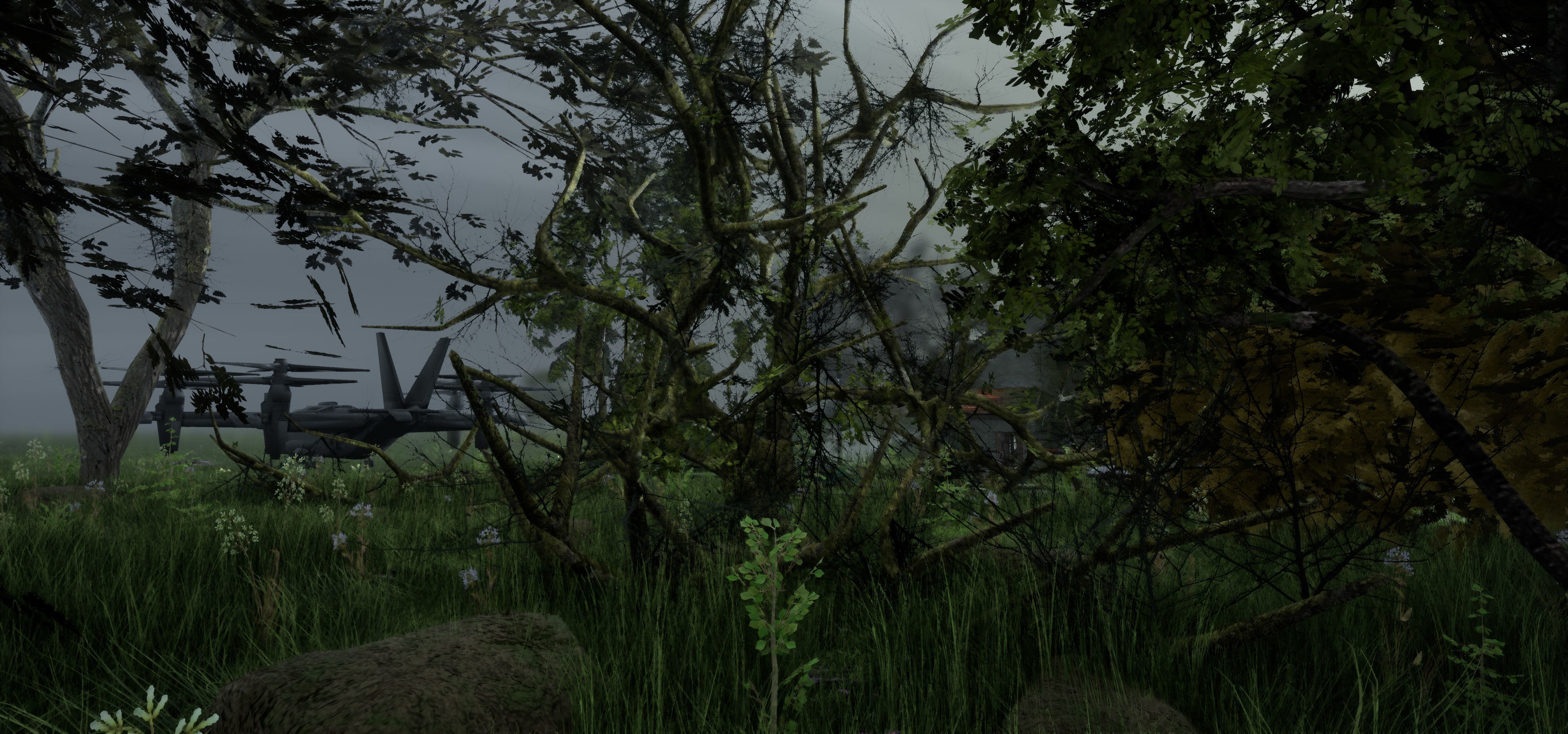 Tree Die Old free VR / AR / low-poly 3D model | CGTrader