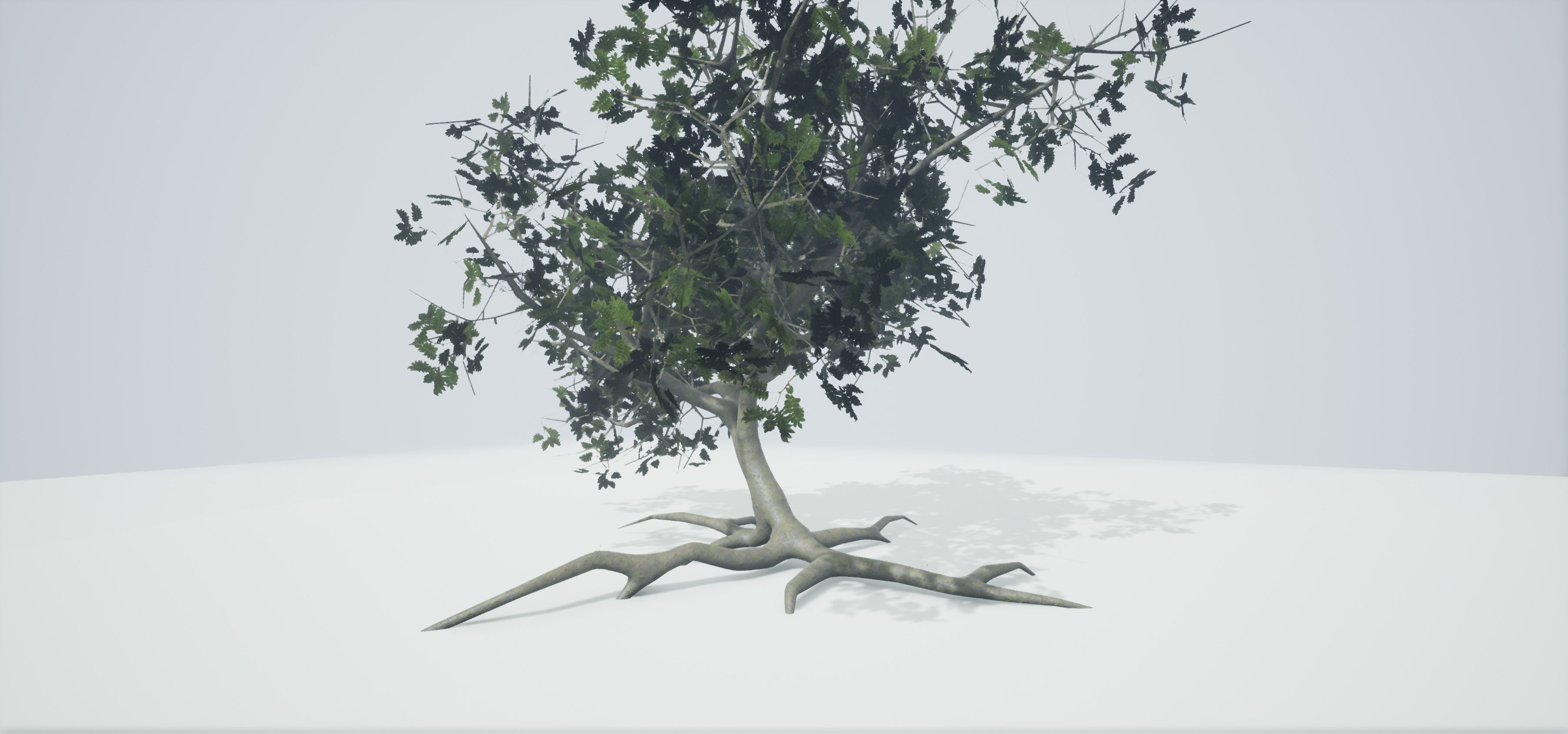 Tree Old free VR / AR / low-poly 3D model | CGTrader