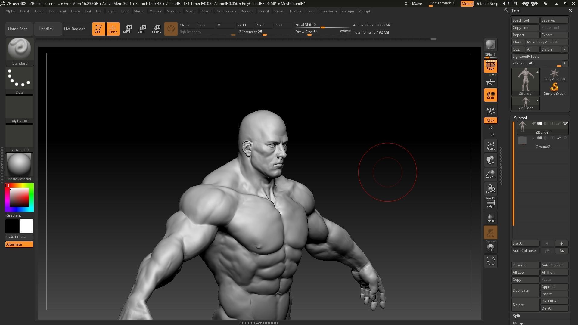 buff male white 3D model | CGTrader