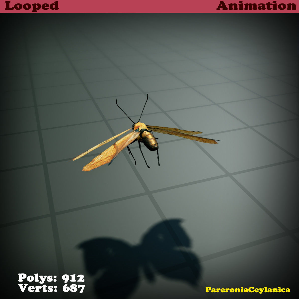 3D model Butterfly - Zaretis Ellops VR / AR / low-poly rigged animated ...