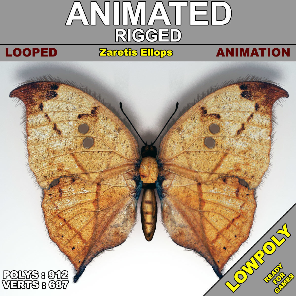 3D model Butterfly - Zaretis Ellops VR / AR / low-poly rigged animated ...