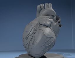 Free Heart 3D Models | CGTrader