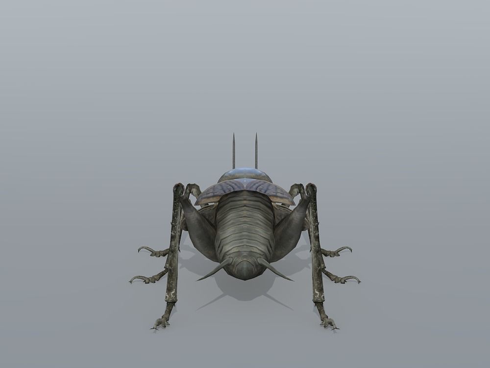 3D model Gryllulus Cricket VR / AR / low-poly | CGTrader