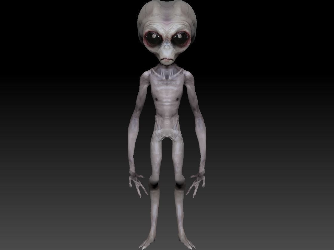 3D model Grey Alien - Area 51 VR / AR / low-poly rigged animated | CGTrader