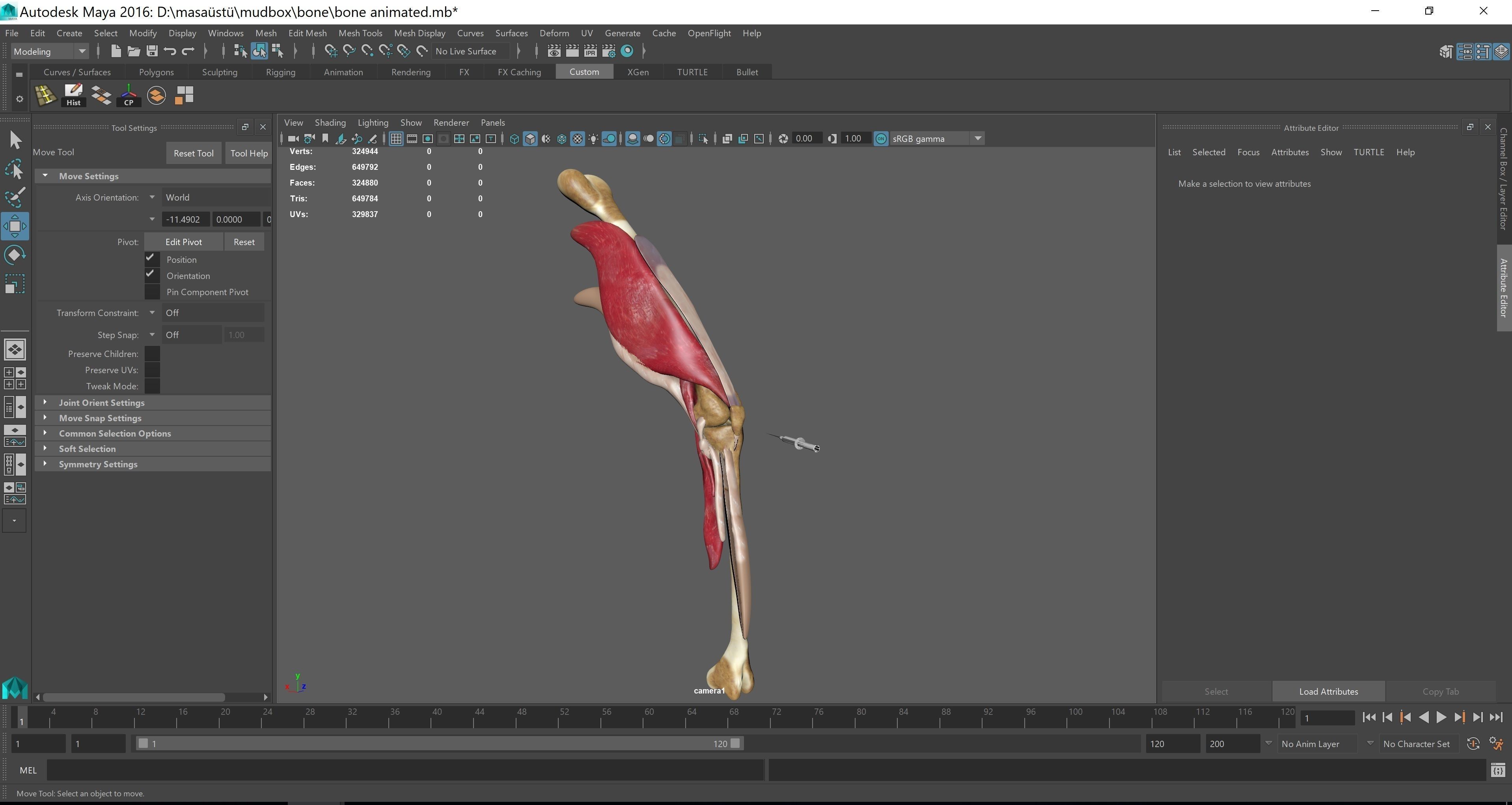 legs animation meniscus animation 3D model animated rigged | CGTrader