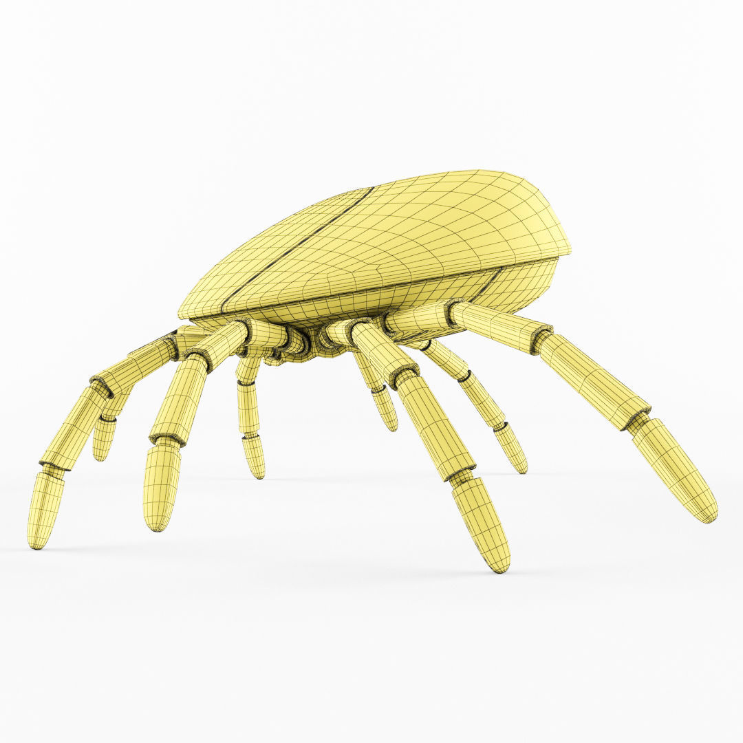 Robot Tick 3D model rigged | CGTrader