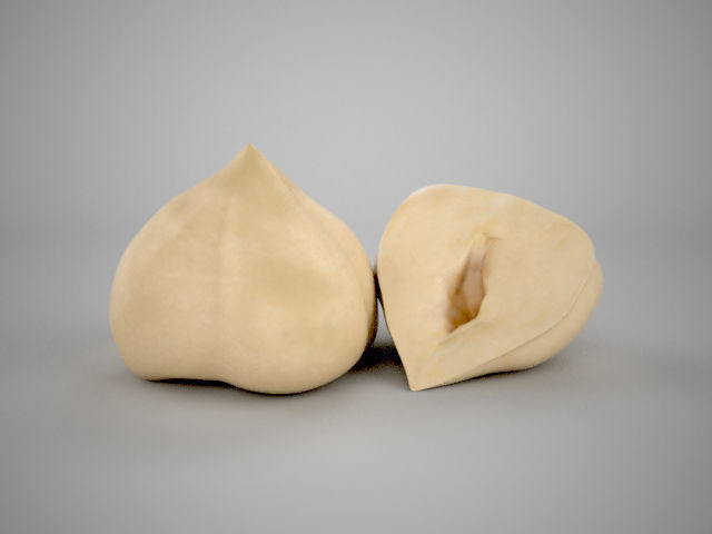 3D model Realistic Hazelnut VR / AR / low-poly | CGTrader
