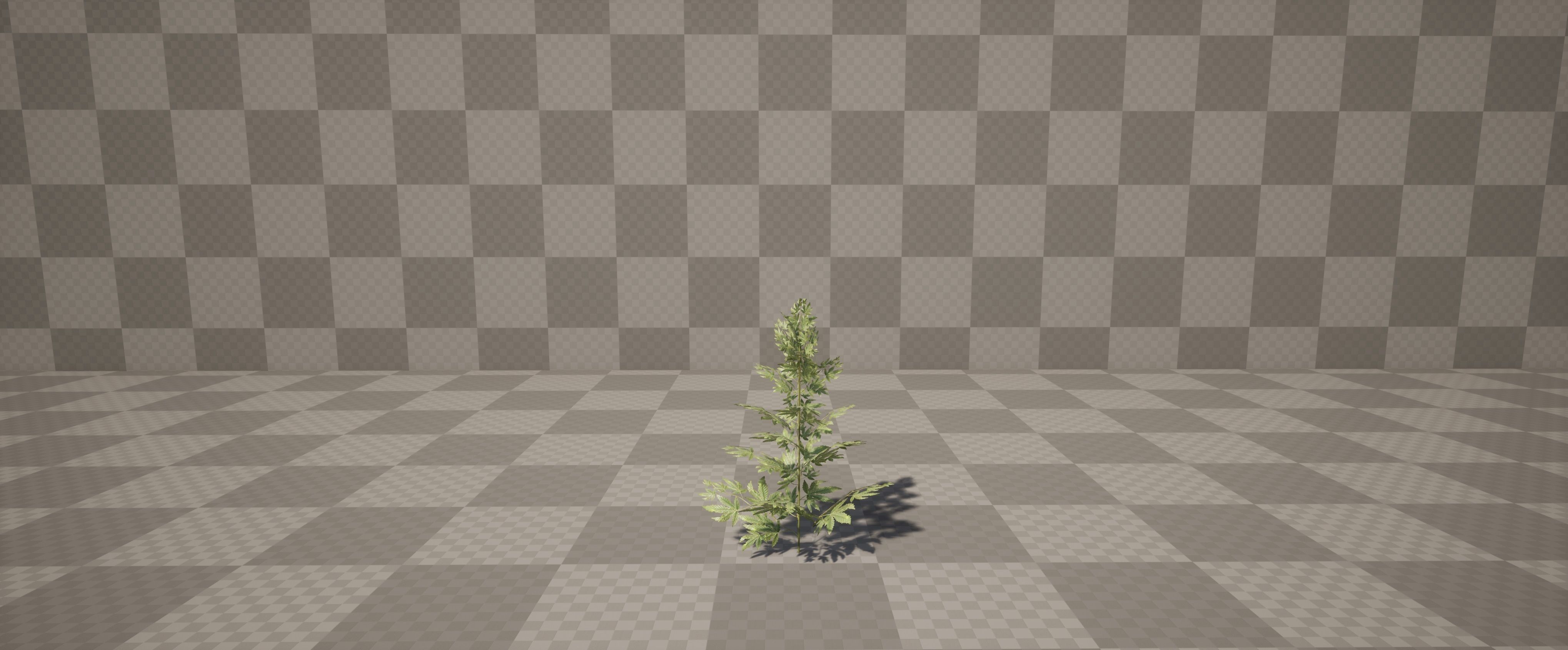 3D model Cannabis Pack Lowpoly VR / AR / low-poly | CGTrader