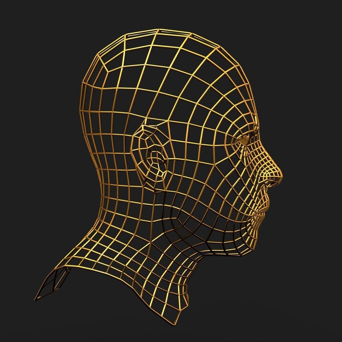 Human Face Wireframe Geometry 3D model | CGTrader