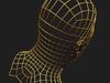 Human Face Wireframe Geometry 3D model | CGTrader