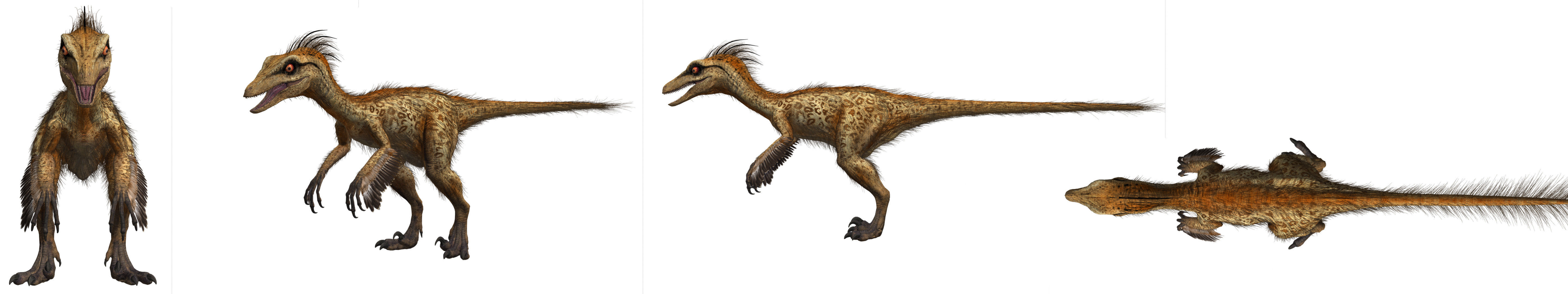 3D model Troodon VR / AR / low-poly | CGTrader