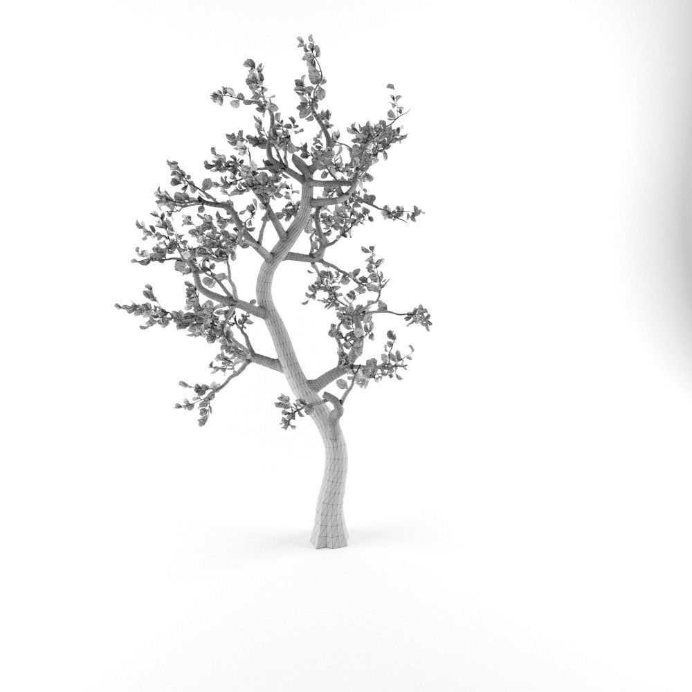 3D model Animated Tree VR / AR / low-poly animated | CGTrader