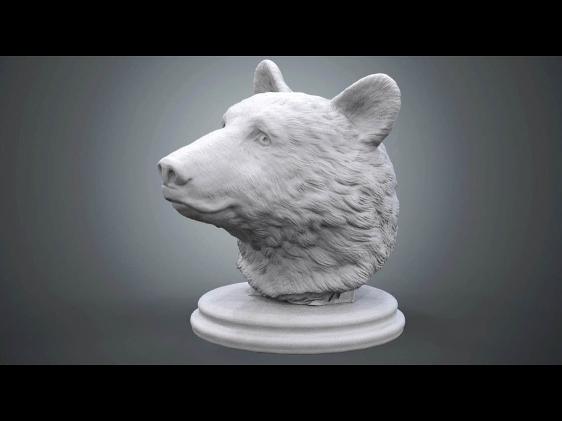 3D printable model Black Bear Bust statue | CGTrader