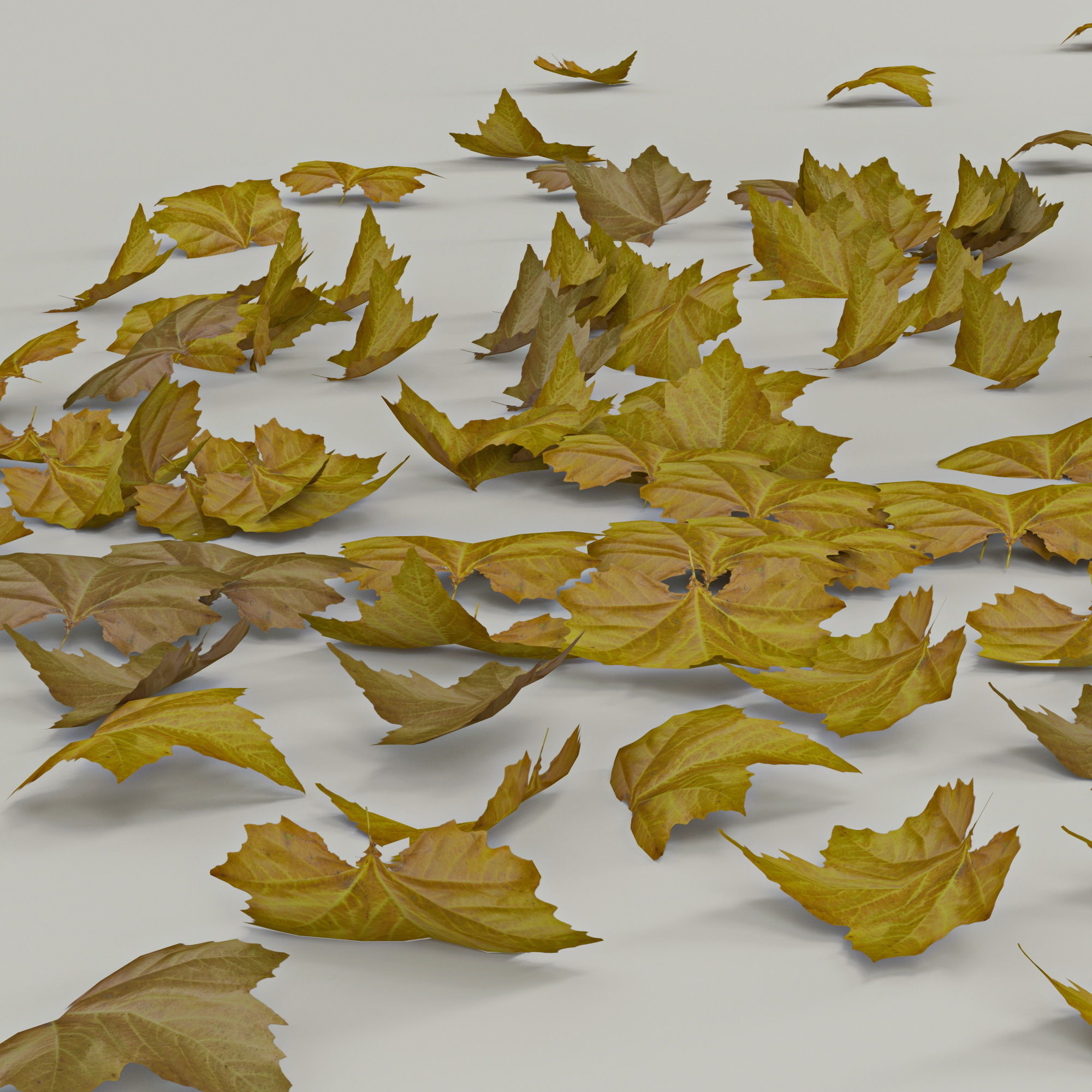 Autumn Tree 3D model | CGTrader