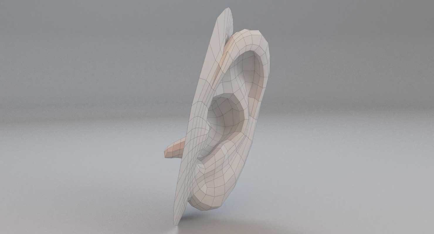 3D model Human Ear VR / AR / low-poly | CGTrader