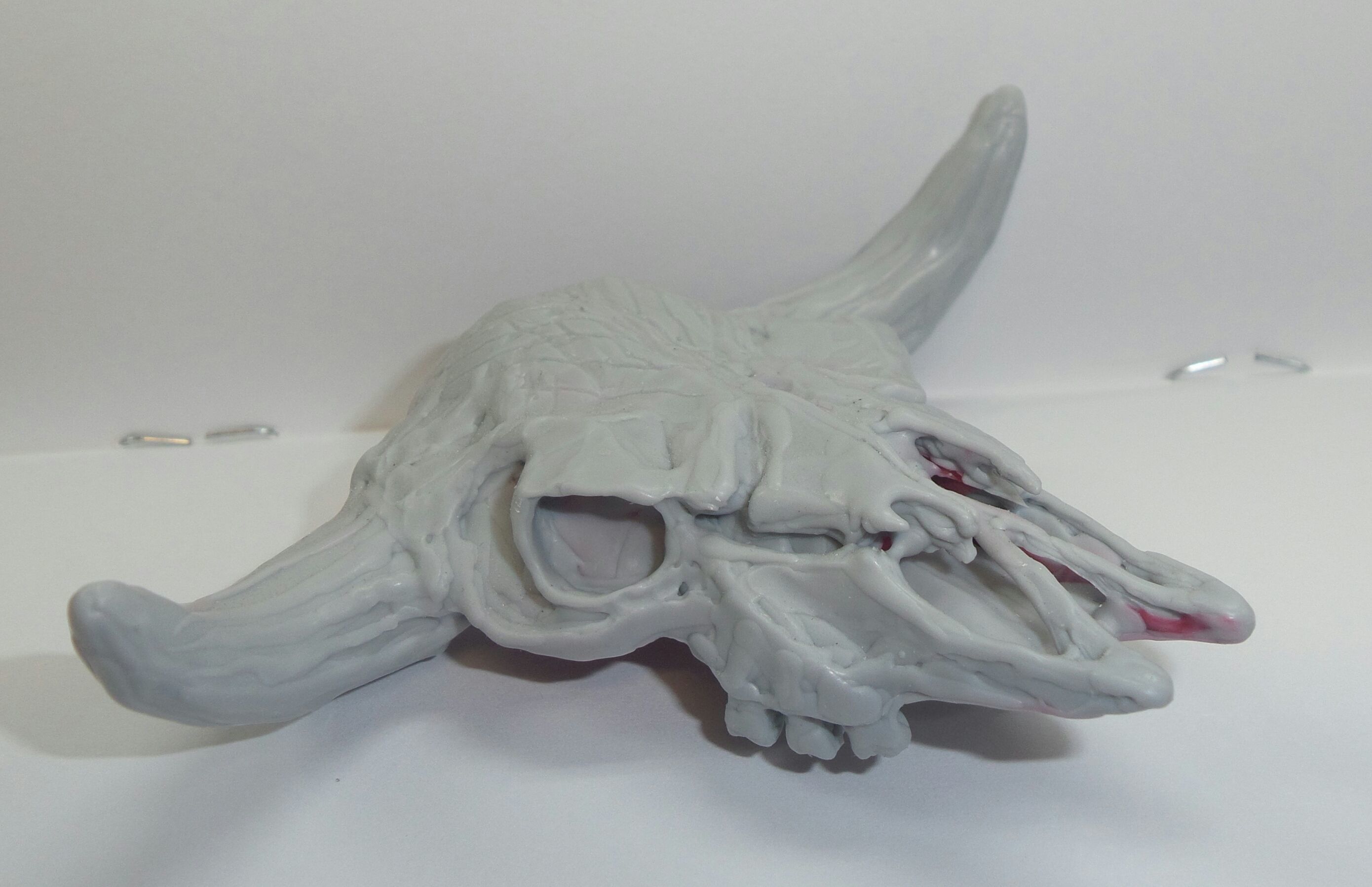 HAND MADE COW SCULL 3D model 3D printable | CGTrader