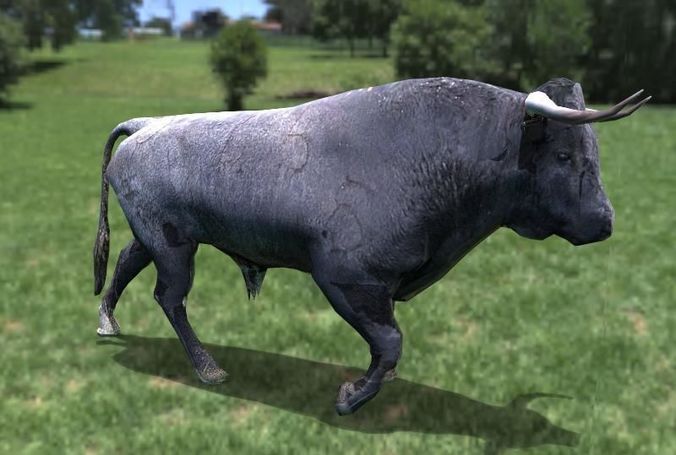 3D model Toro Bravo VR / AR / low-poly | CGTrader