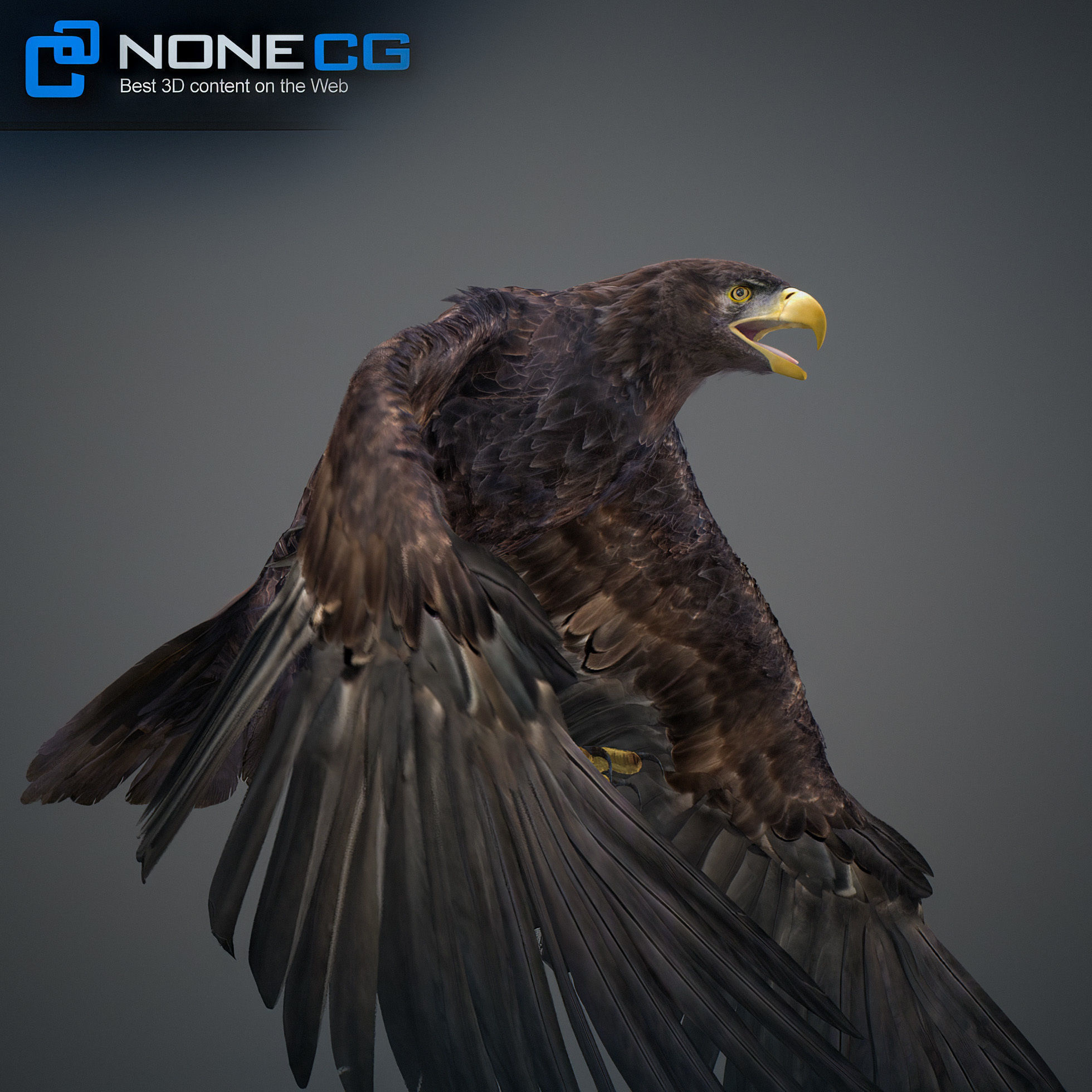 Animated Golden Eagle 3D model animated rigged | CGTrader