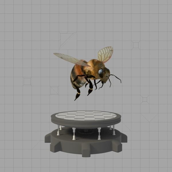 Insects Pack Ultra 3D model animated rigged | CGTrader