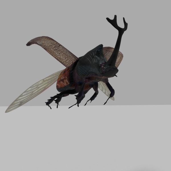Insects Pack Ultra 3D model animated rigged | CGTrader